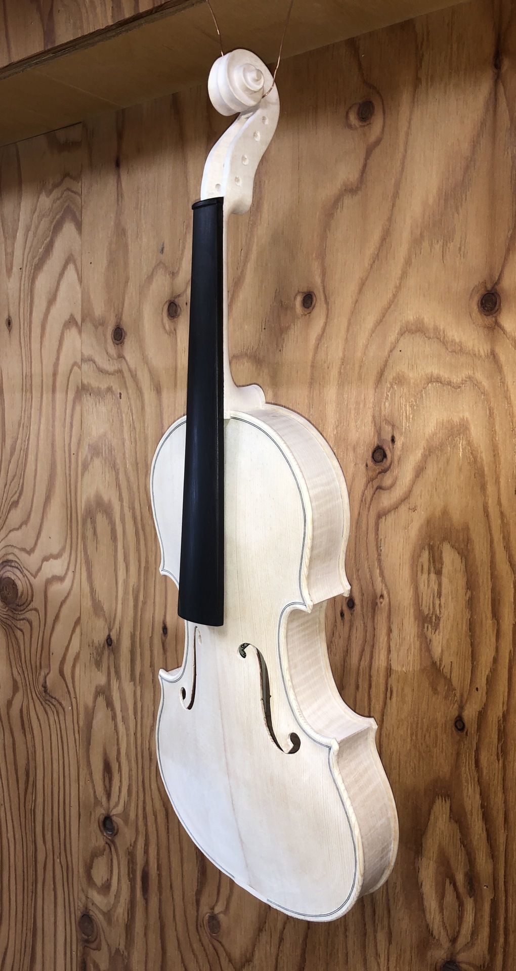 Caterina: ホワイトヴァイオリンの完成: こばやしヴァイオリン工房
