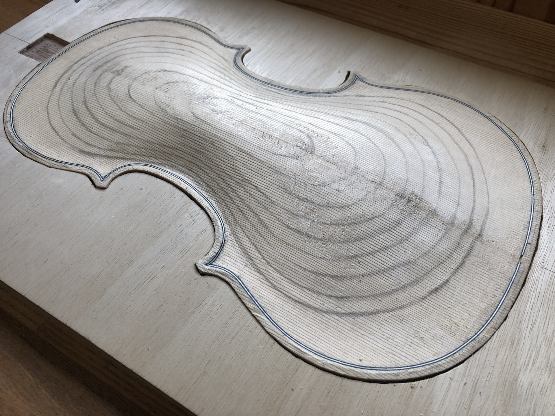 F. Garimberti, 1925 モデル: 表板のアーチ: こばやしヴァイオリン工房