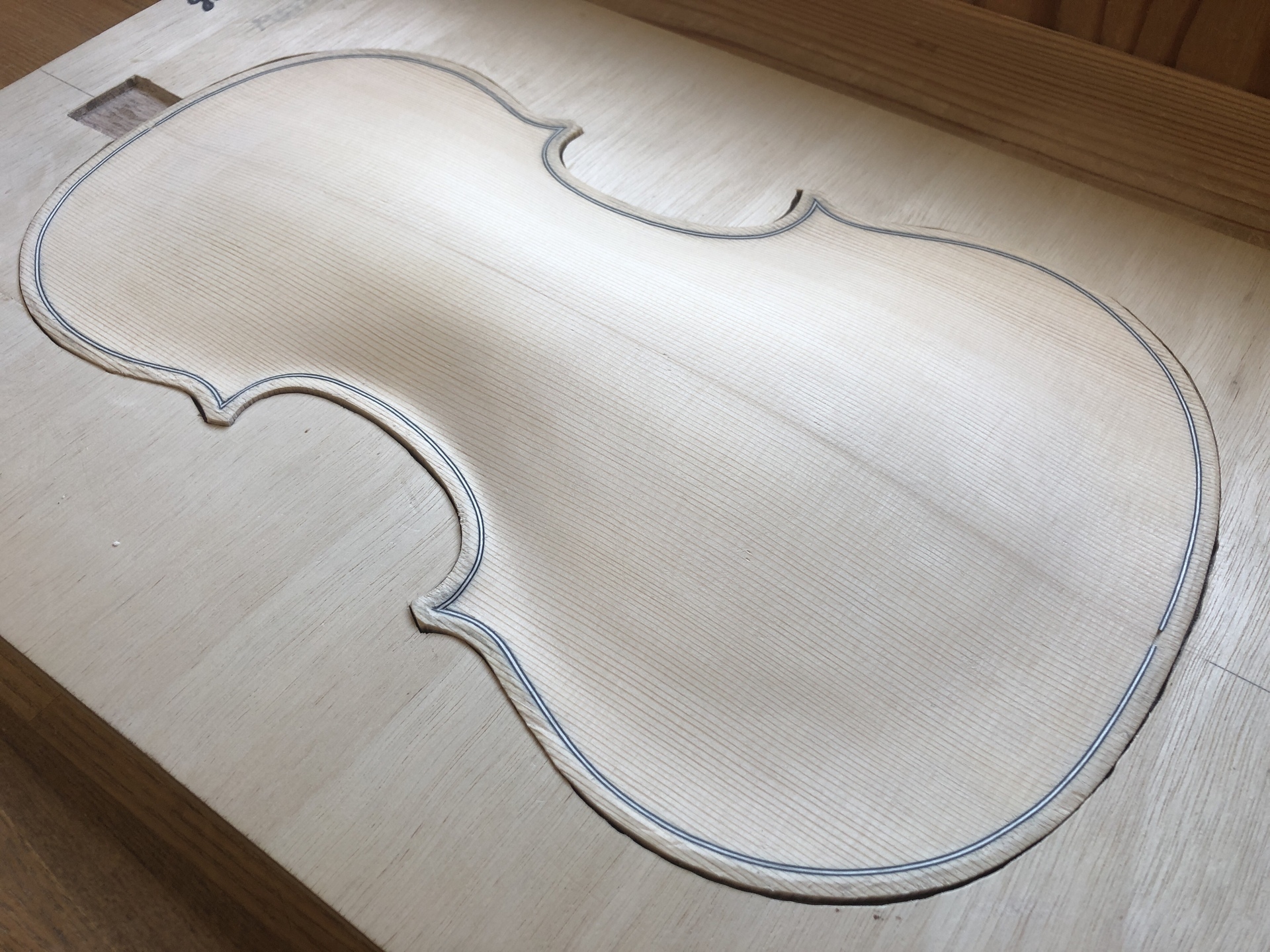 F. Garimberti, 1925 モデル: 表板のアーチ: こばやしヴァイオリン工房