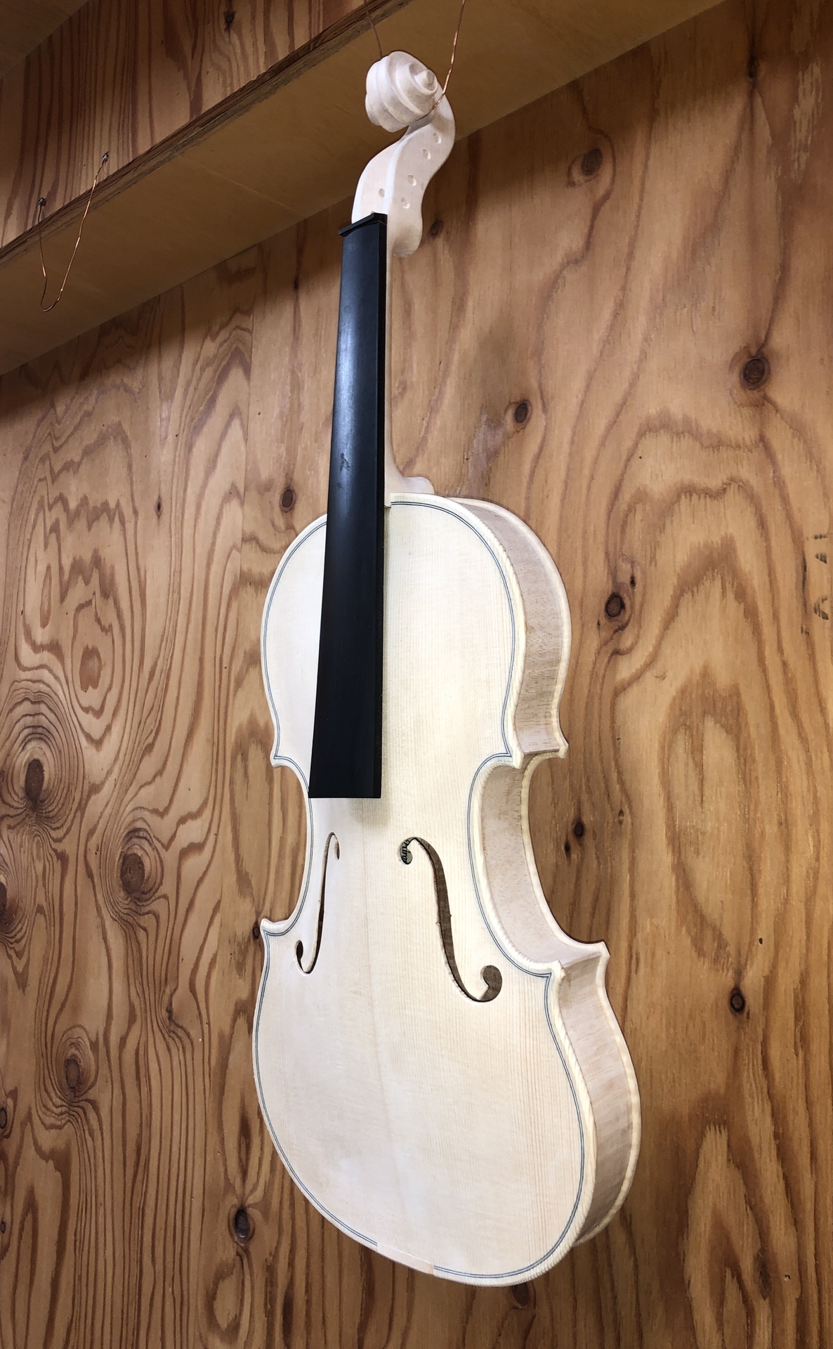 Garimberti, 1925 モデル“Marzia”: ホワイトヴァイオリンから木出し: こばやしヴァイオリン工房